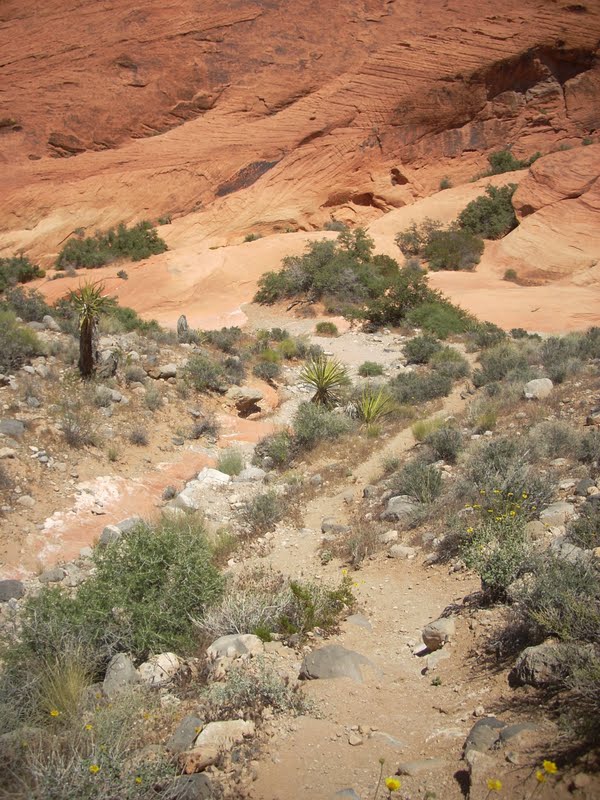 Vegas Adventures: TR Snippet - Red Rock Canyon