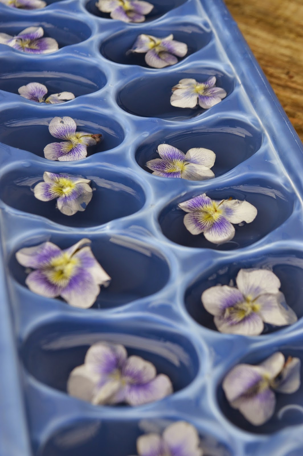 The Wright Family Farm: Wild Edibles // Violet Ice Cubes