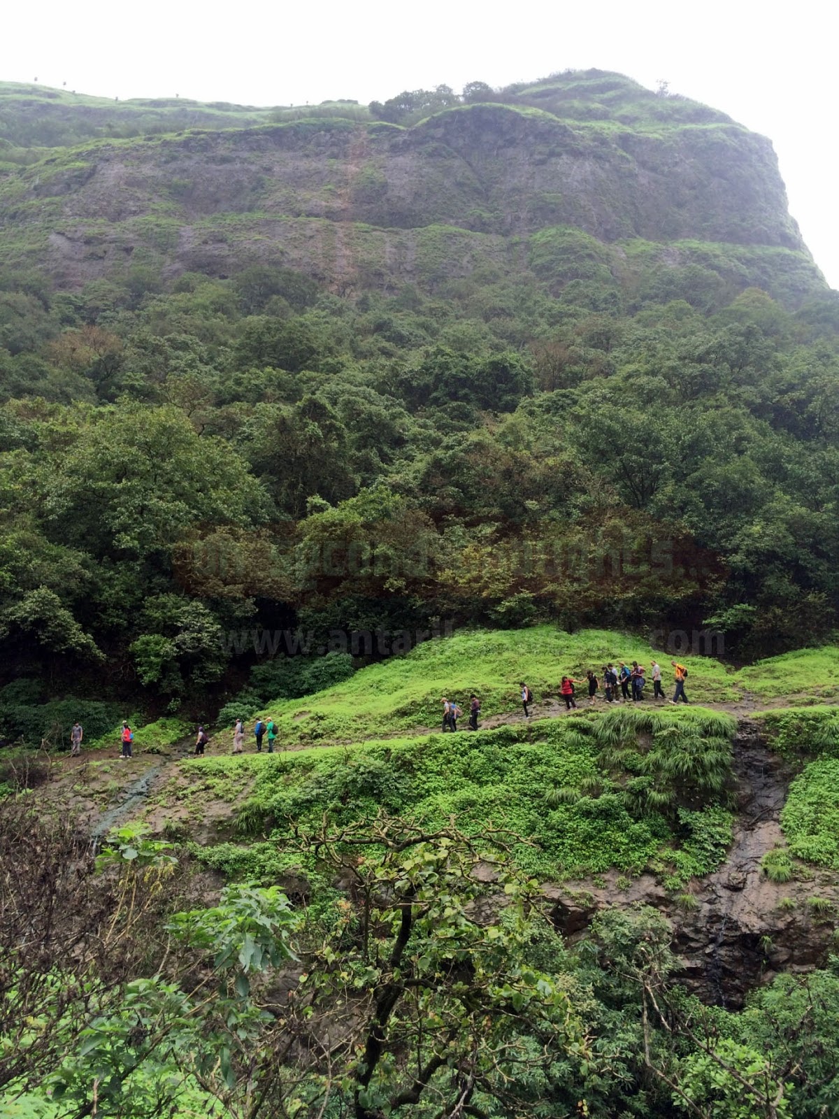 The Enchanting Trek Through Andharban - The Dark Forest