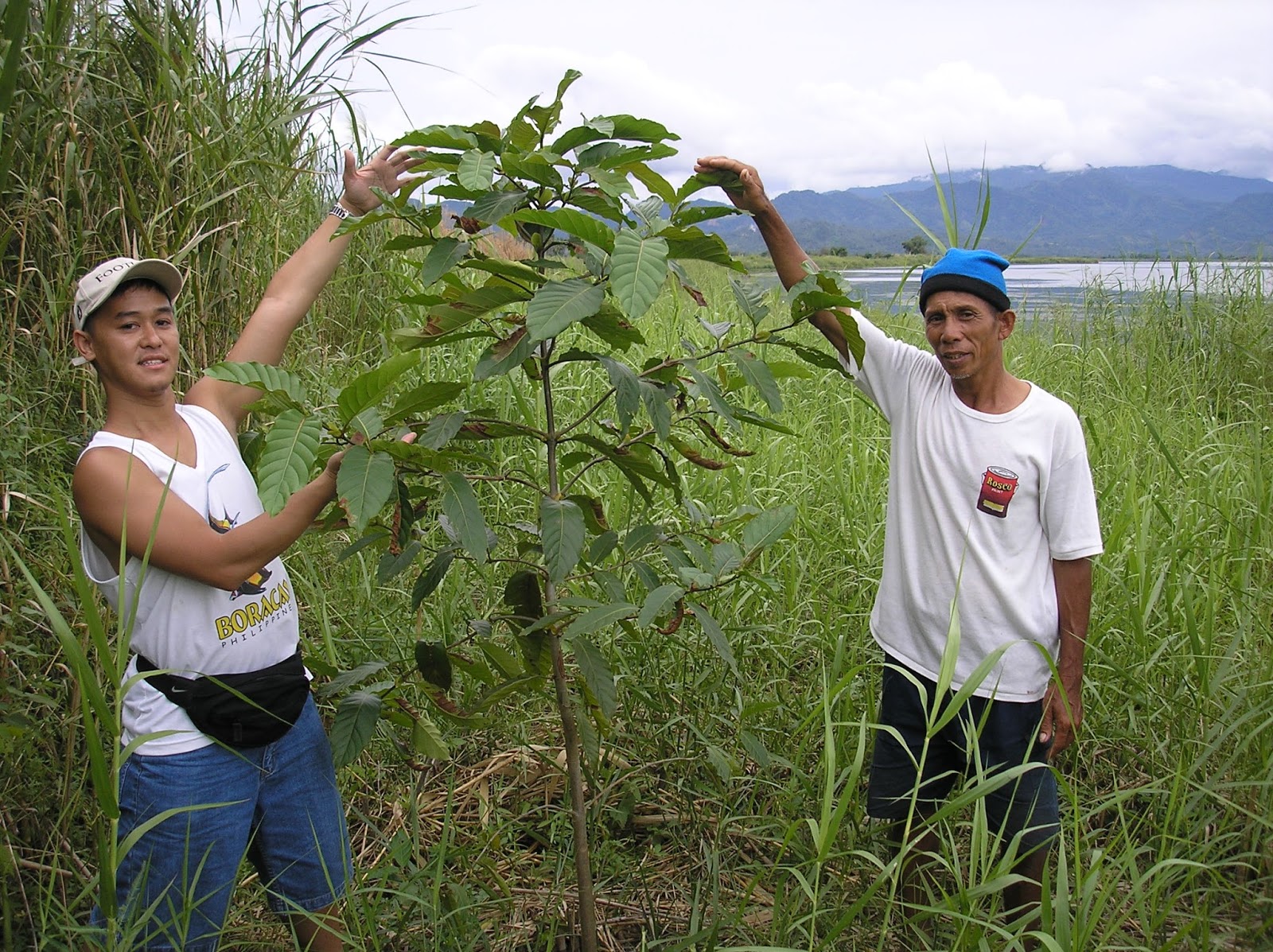 Lake Mainit of the Philippines: 2007.08.26 Monitoring the 2006 Bangkal ...