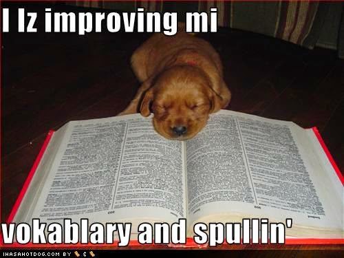 Rules of the Jungle: Funny dogs with words