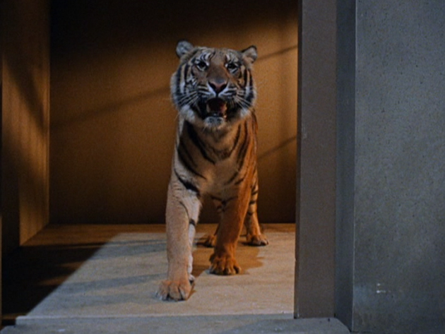 John Kenneth Muir's Reflections on Cult Movies and Classic TV: Cult-TV ...