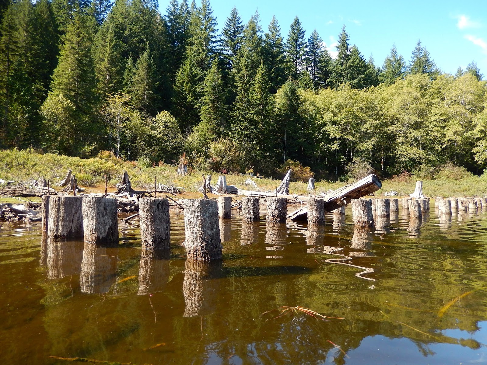 Powell River Books Blog: Railroad Logging Trestle on Nanton Lake, BC