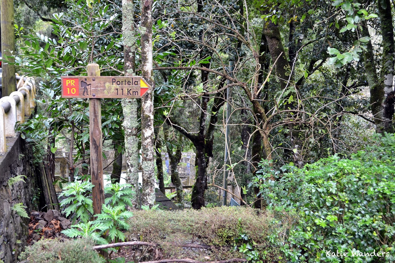Katie Wanders : Ribeiro Frio Trout Farm - Madeira Island