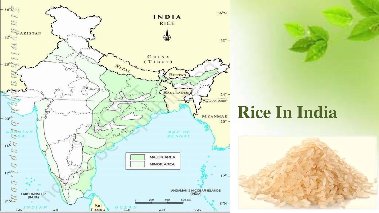 Agriculture Class 10th PPT agriculture-class-10th-ppt