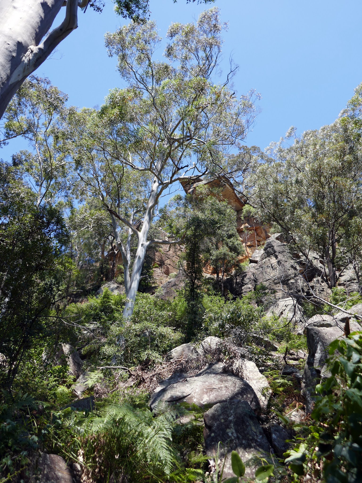 All The Gear But No Idea: Mount Portal, Red Hands Cave & Glenbrook Gorge