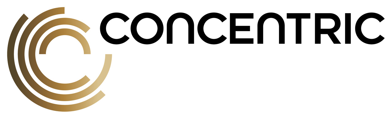 TEAM 3 | CONCENTRIC AB: Concentic's Lean System