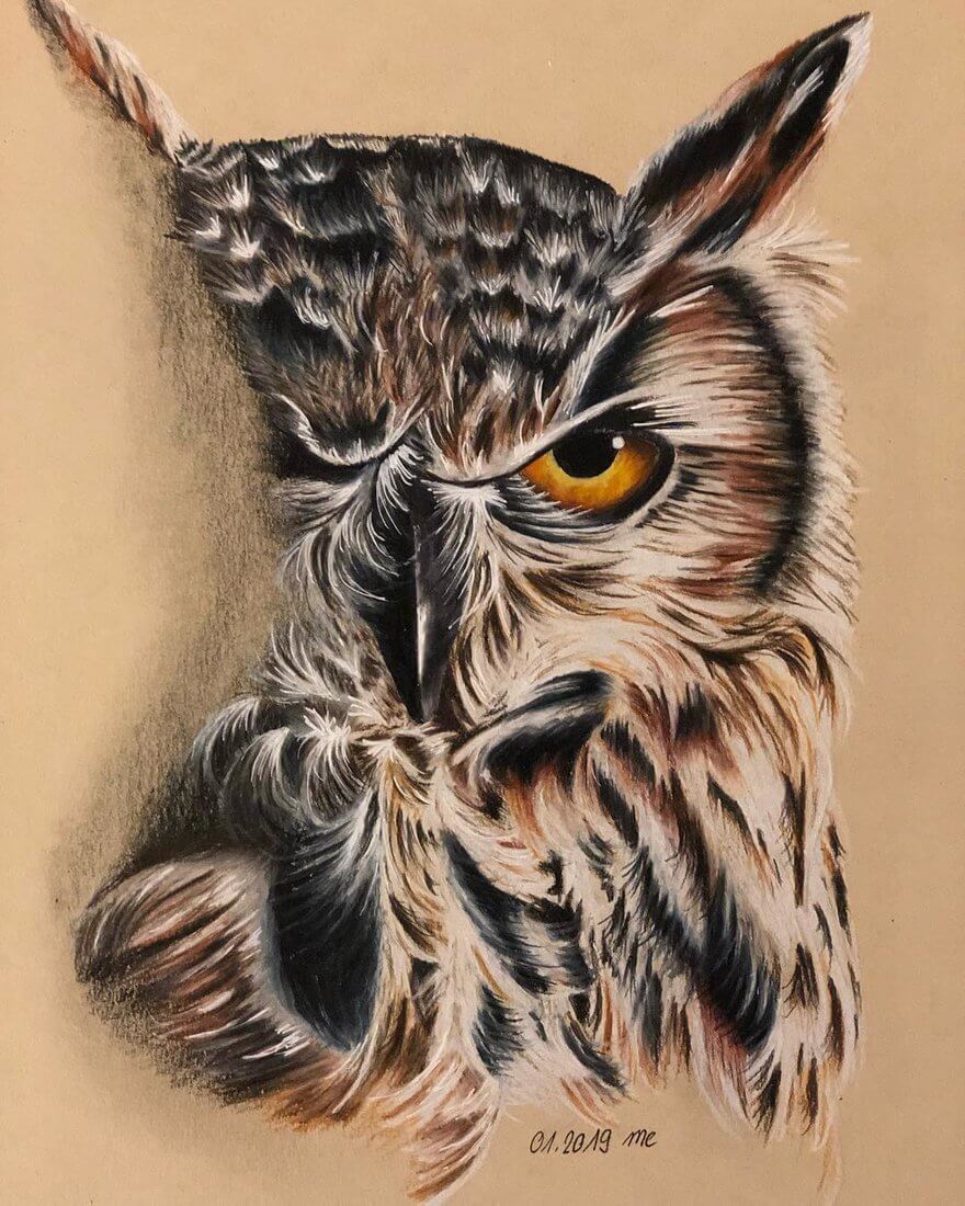 Design Stack: A Blog about Art, Design and Architecture: Colored Wildlife Drawings