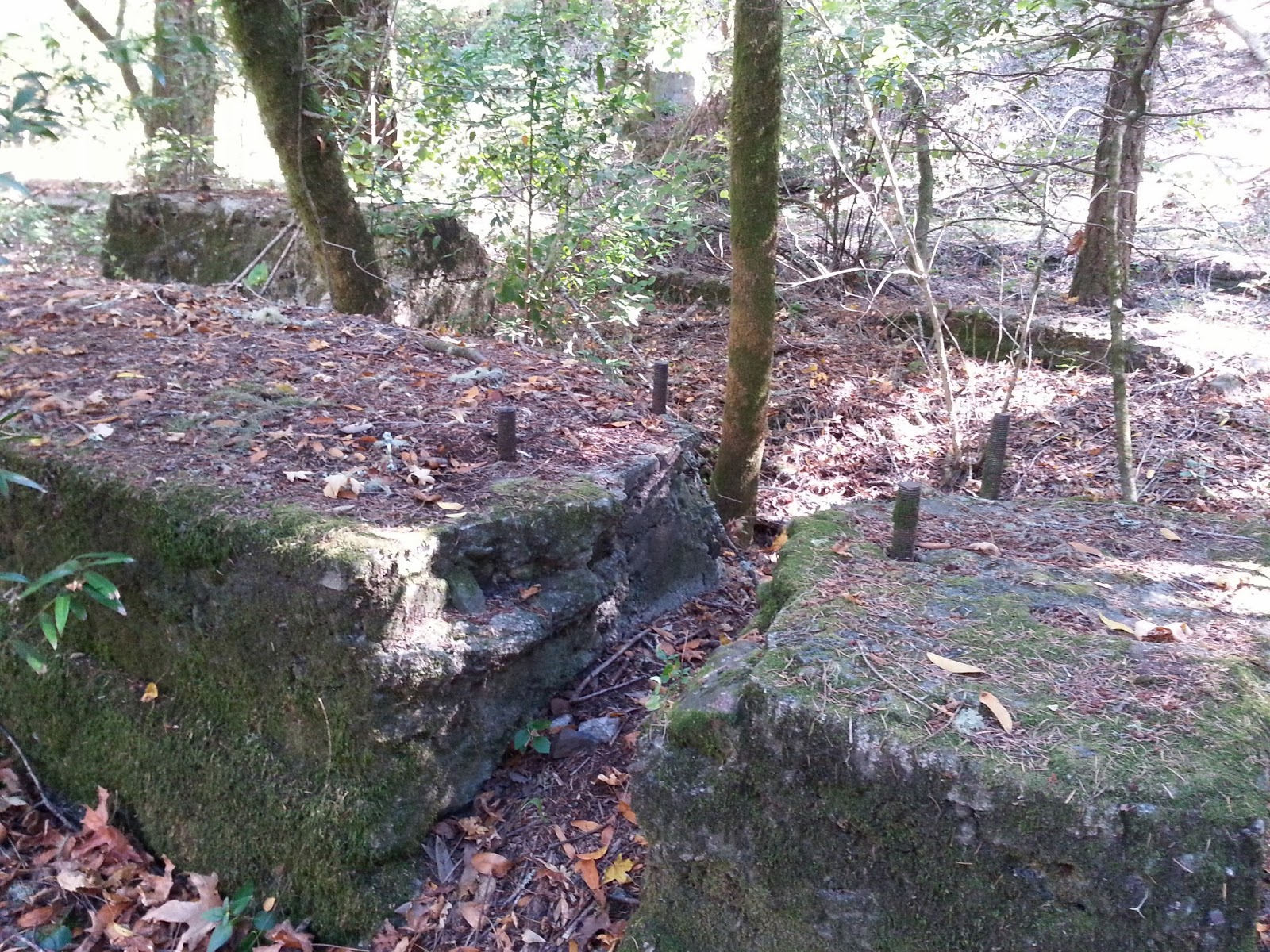 Rocinante Press: Vast and trunkless legs of stone