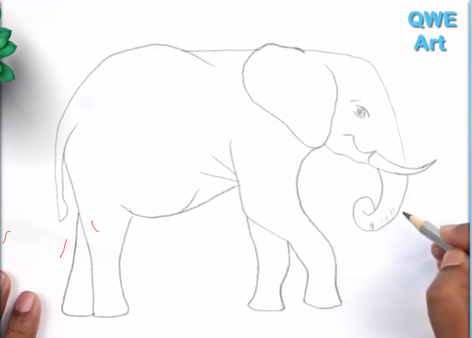 Pictures Of Elephants To Draw