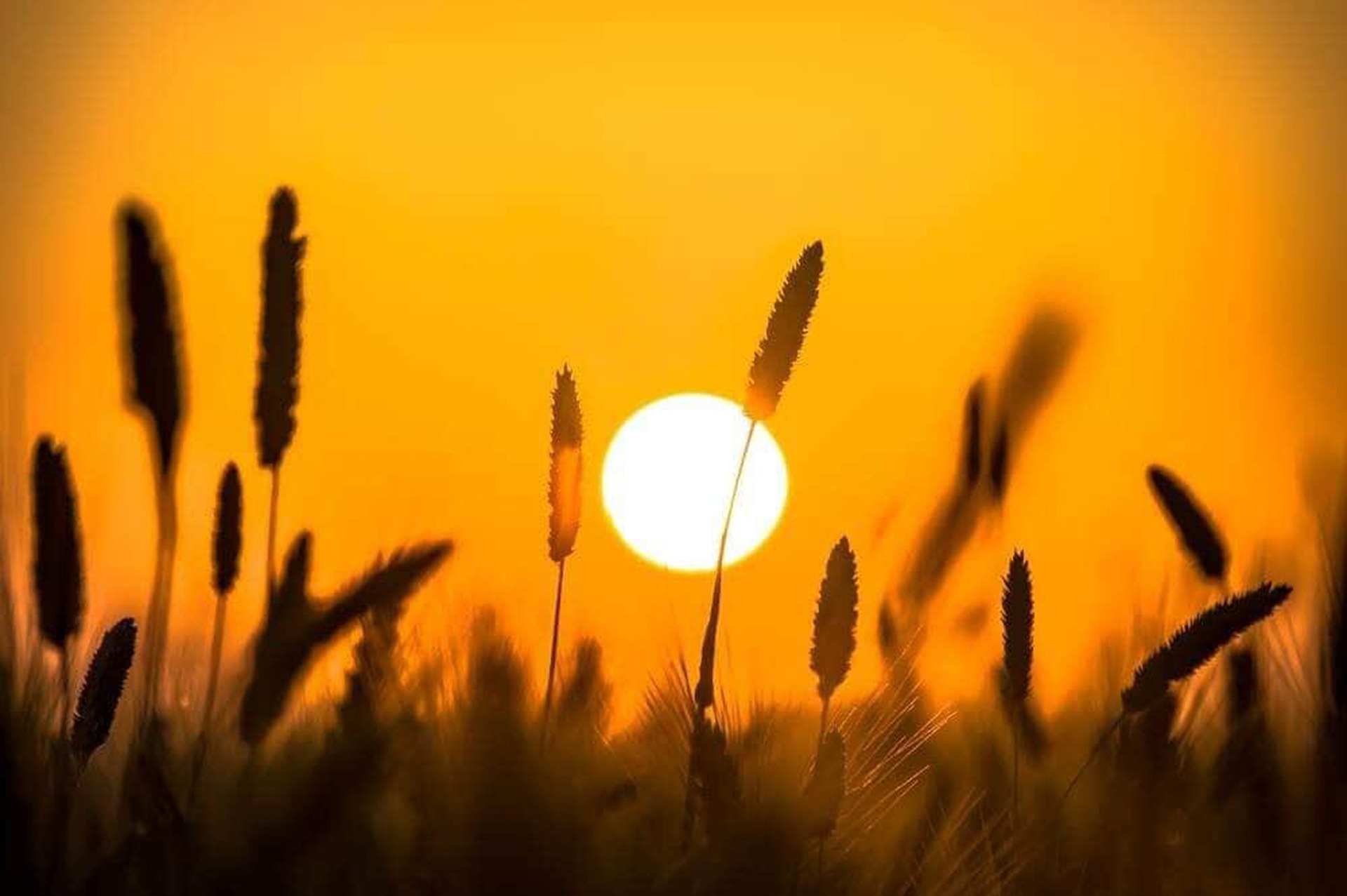 सुबह की कुछ अच्छी आदतें | Subah ki adaten