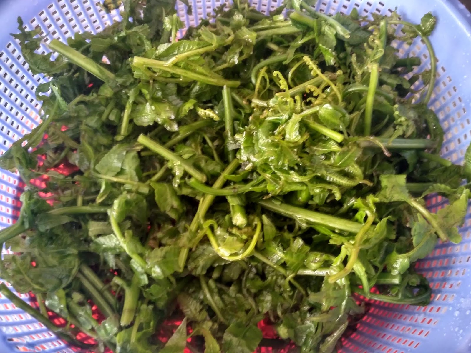 Stir Fried Vegetable Fern