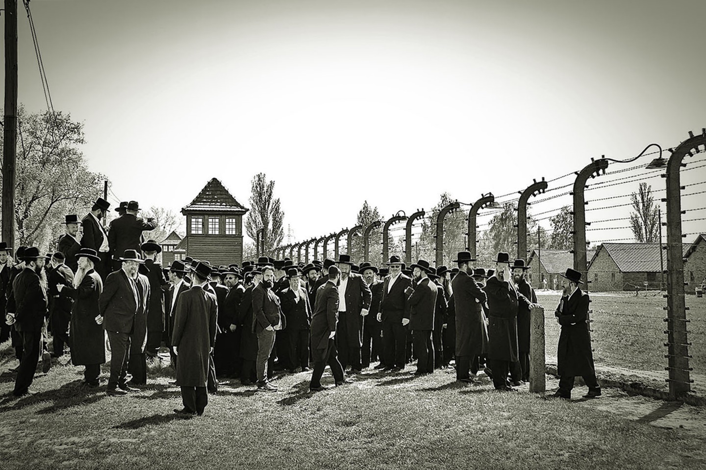 Atrapados por la Imagen: Acto frente a Auswitch-Birkenau
