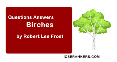 Questions Answers from Birches by Robert Lee Frost