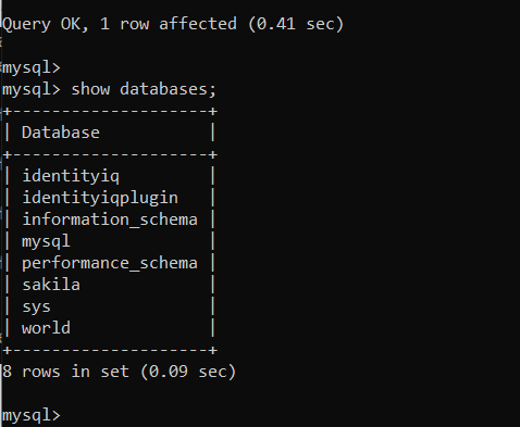 SailPoint IdentityIQ 8.0 Installation Steps in Windows 10 Machine