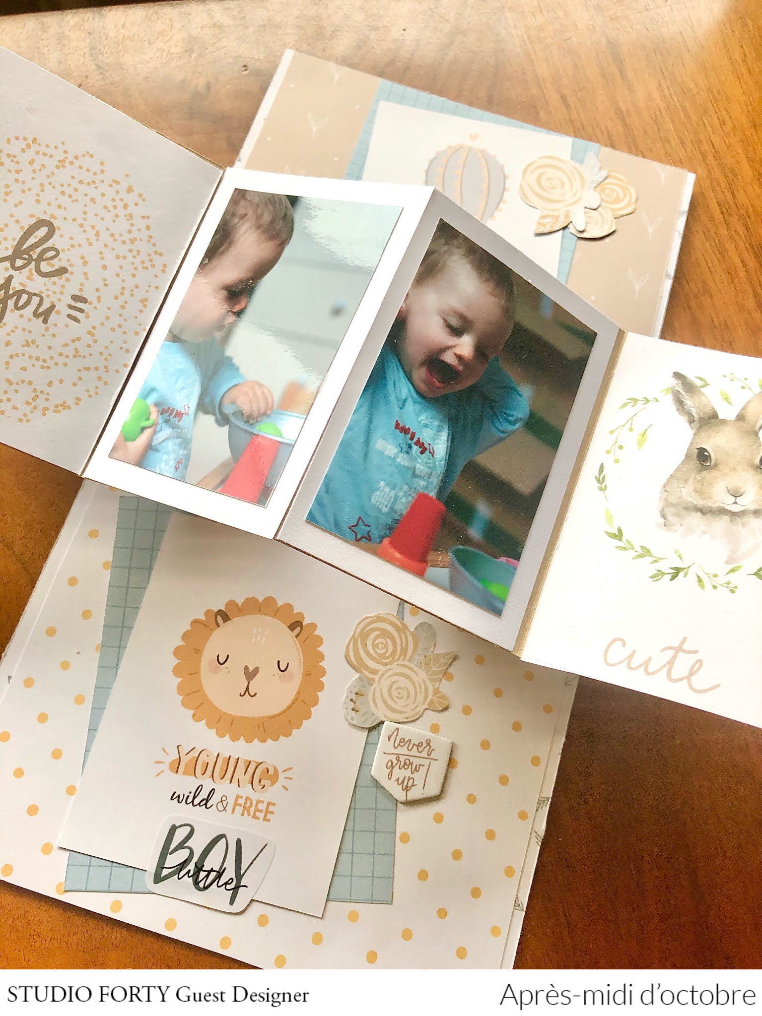 Pop-Up pictures - StudioForty