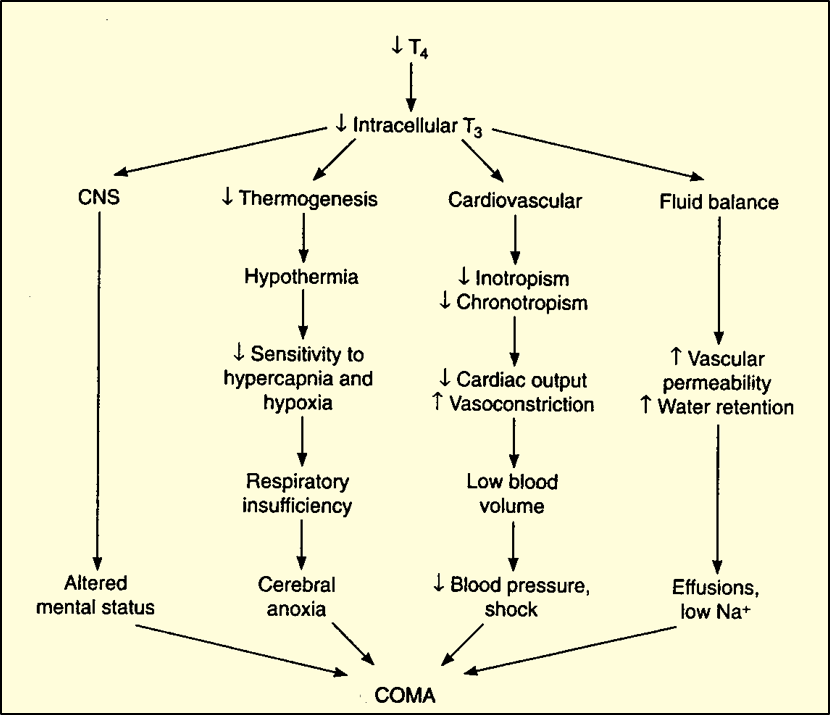 Myxedema Coma - Anesthesia Morbidity and Mortality