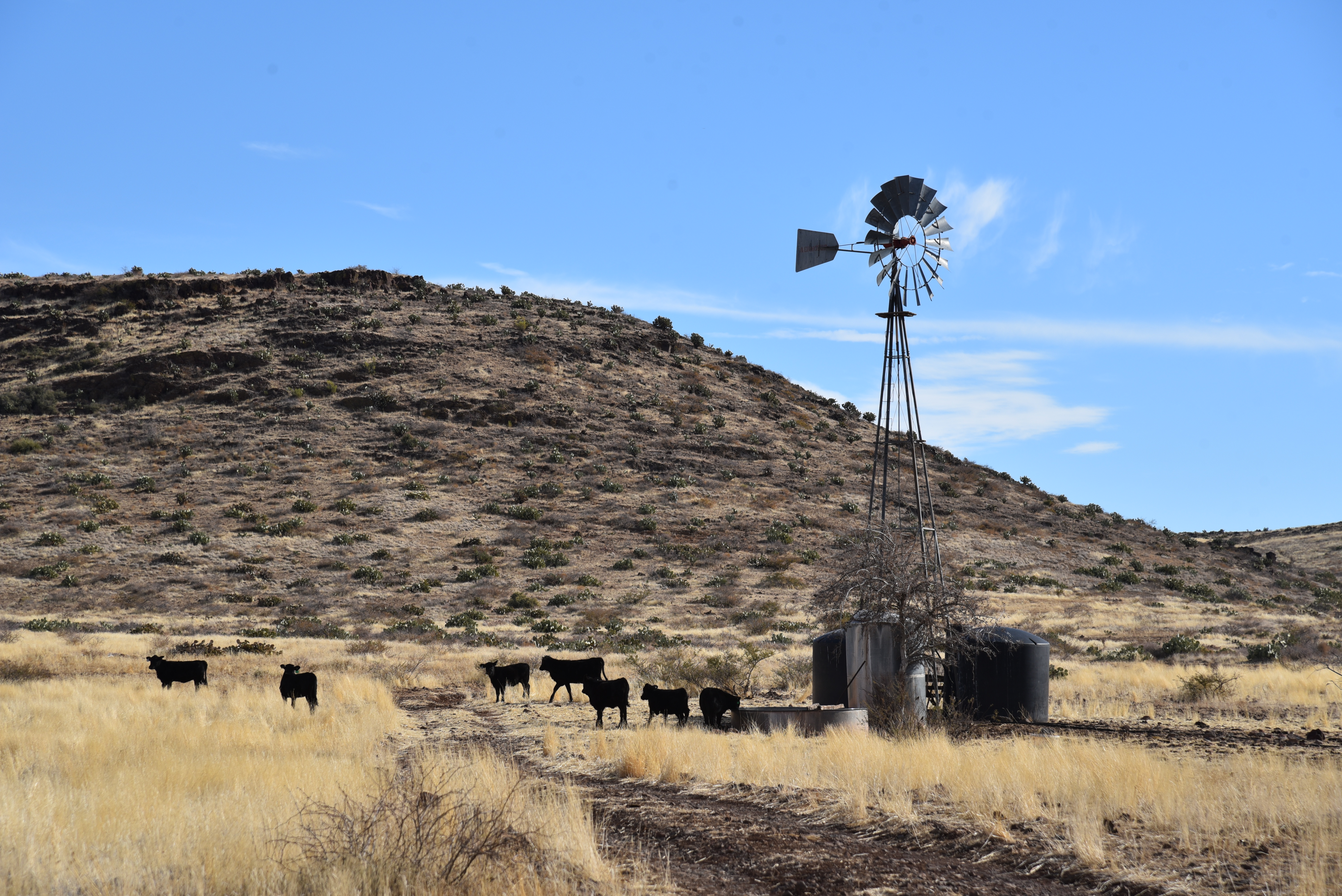 Arizona Hiking: Heifer Pasture