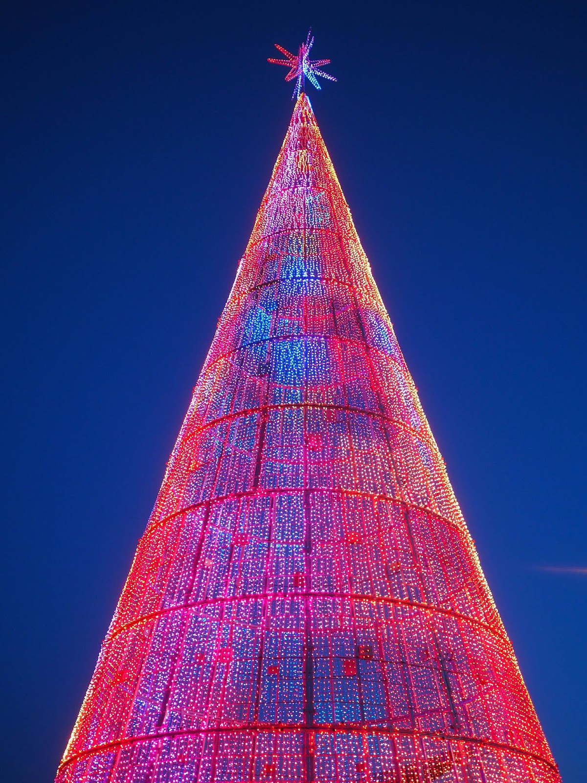 Little Hiccups: Denver's Mile High Tree