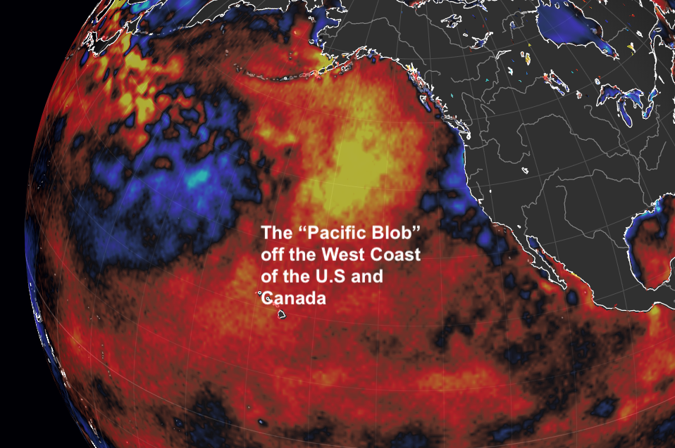 The Big Wobble : A "Pacific Blob," has mysteriously appeared off the ...