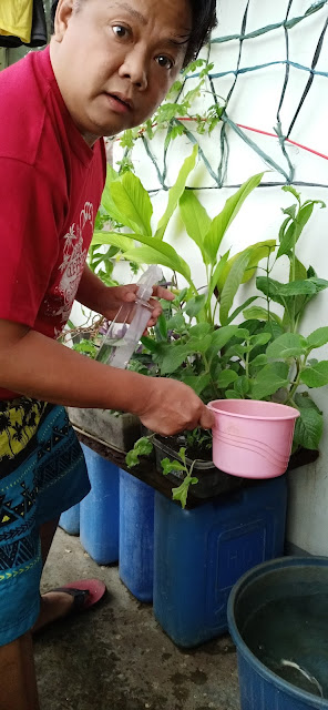 Different Kinds of Plantito/Plantita Visualized ~ Wazzup Pilipinas News ...