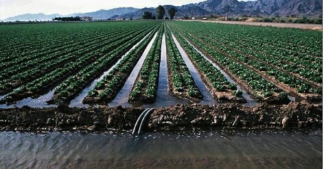 Sistem pengairan atau irigasi permukaan lahan ~ Teknelogi & Informasi ...