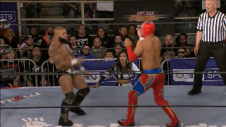 Air Wolf ♔ Explosive Wrestling Gifs