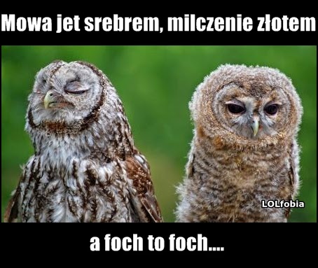 LOLfobia: Jak foch to foch