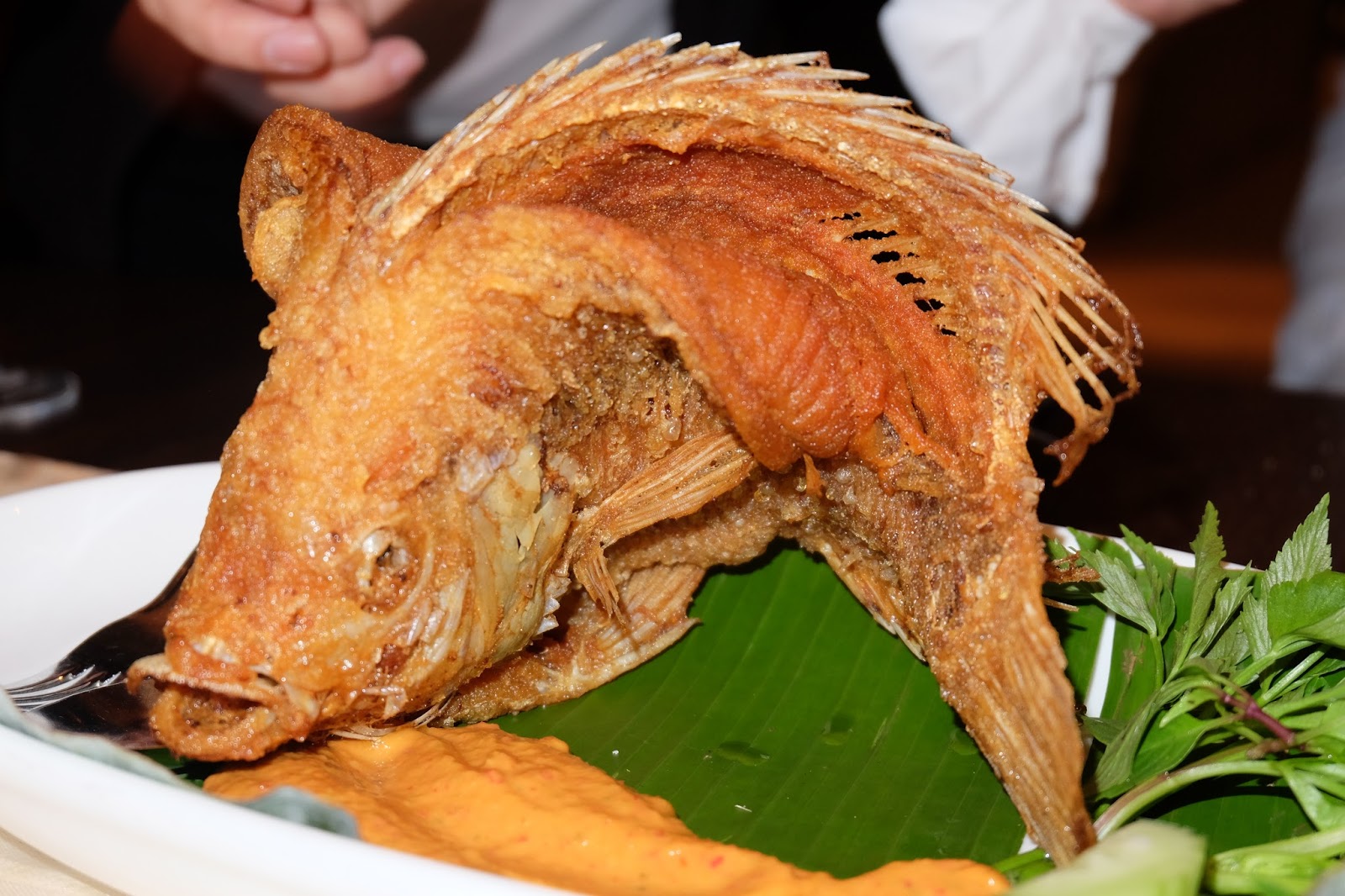 Kee Hua Chee Live!: DANCING FISH AT BANGSAR SHOPPING CENTRE IS BOTH THE ...