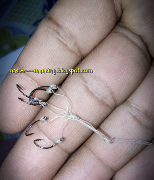 Master mancing: Umpan Mancing Belanak, Resep Jitu Pemancing Ampuh