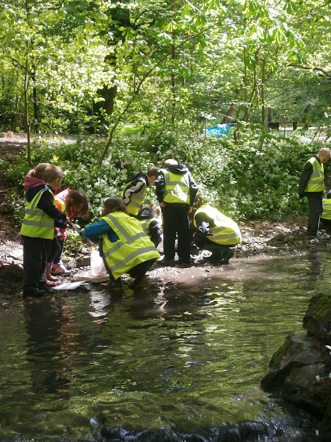 AWT Wild Schools blog: Nature is full of surprises...