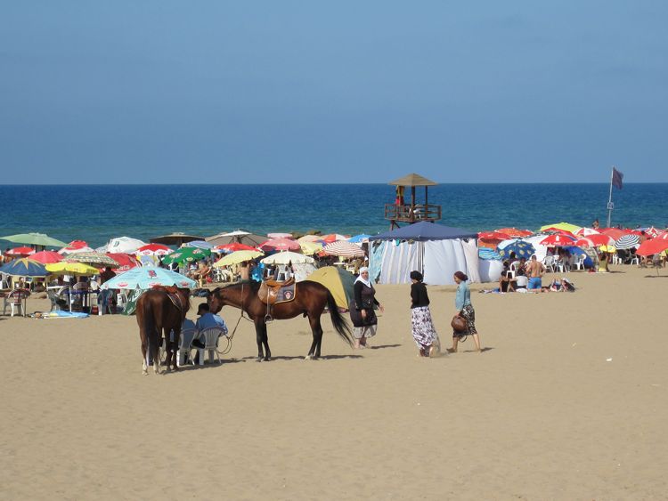 Océana 1: Saidia, Maroc
