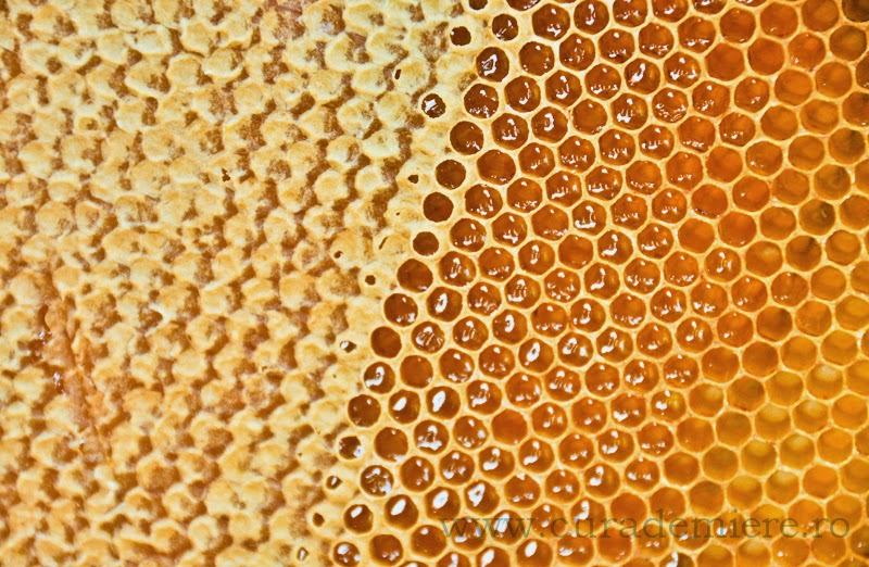 Miere si tentatii: Miere capacita vs miere necapacita