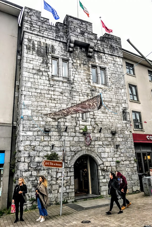 Patrick Comerford: The story of Blake’s Castle and the tenacious ...