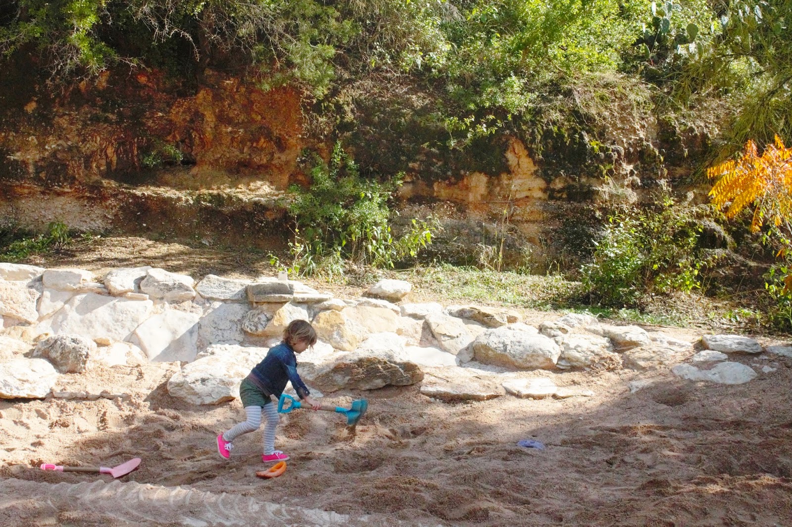 pearl + honey: Austin Science + Nature Center
