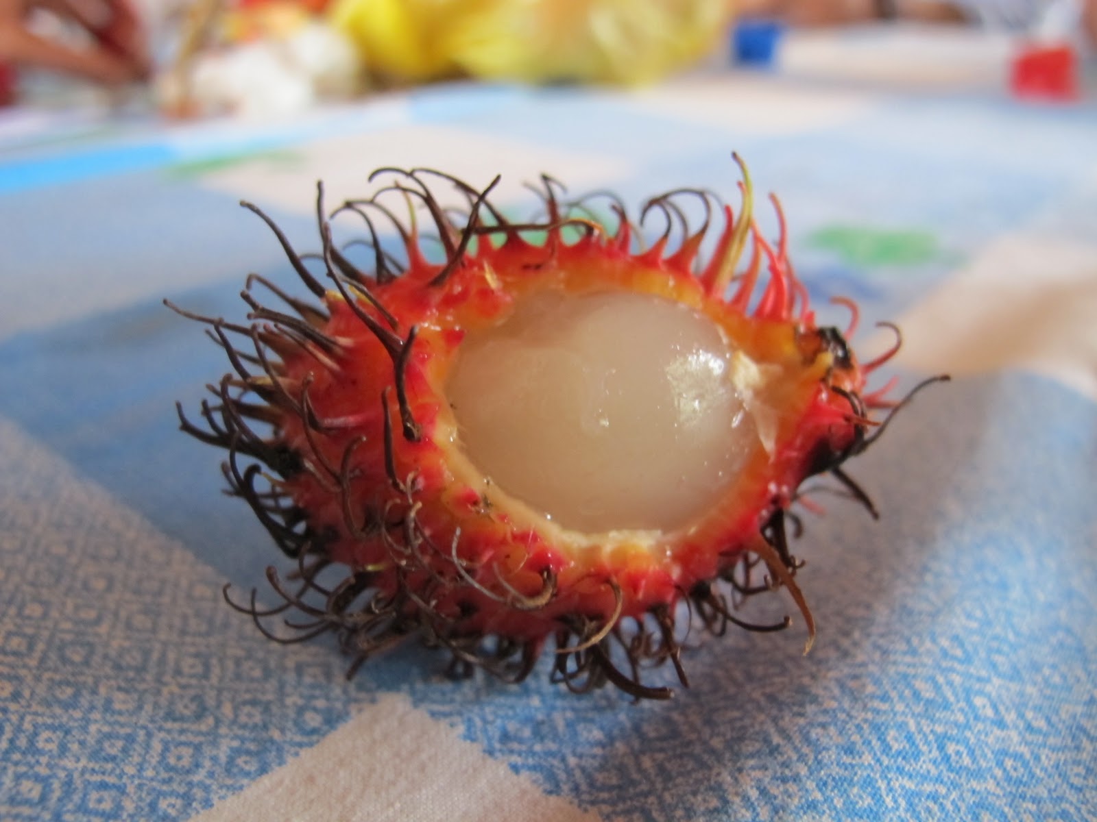 Off the Grid: A Step-by-Step Guide to Eating a Litchi
