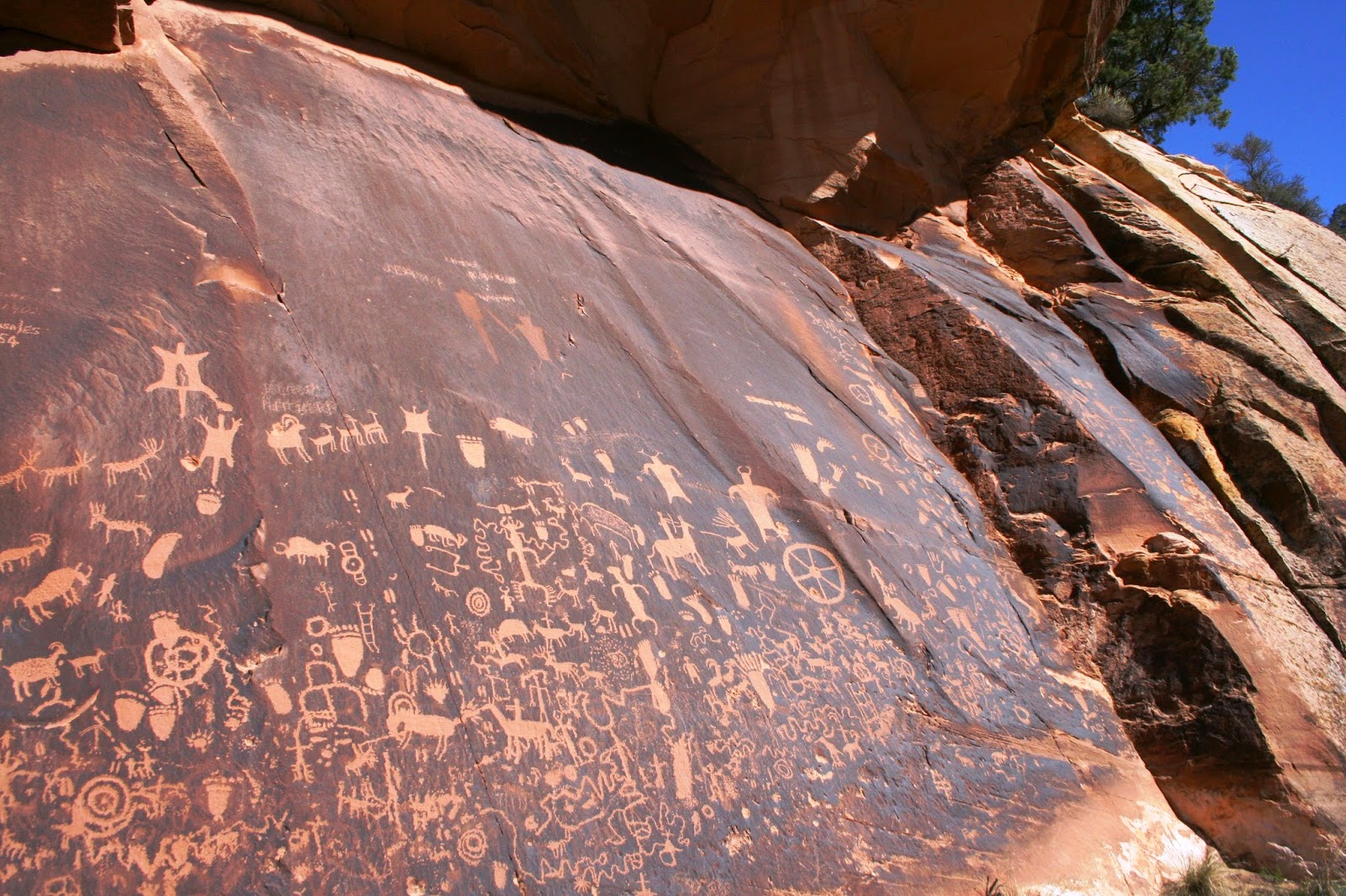 Utah Pictographs, Petroglyphs and Rock Art: Newspaper Rock Petroglyphs