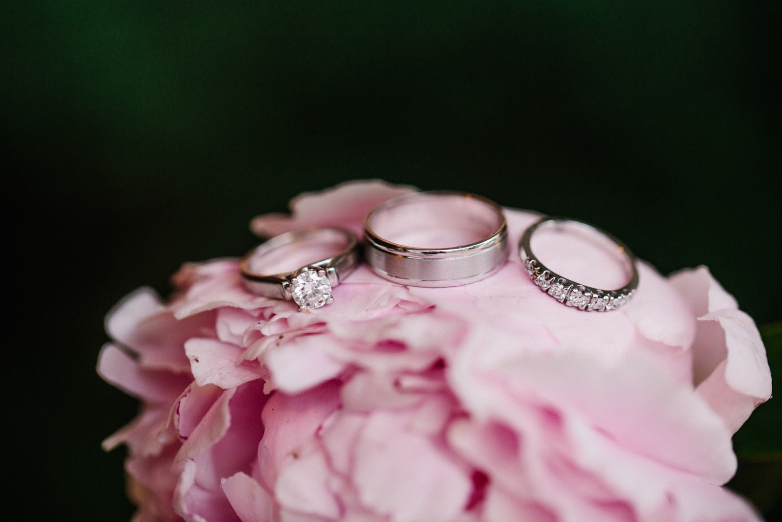 Allix Ruby: Lifestyle + Love Photographer