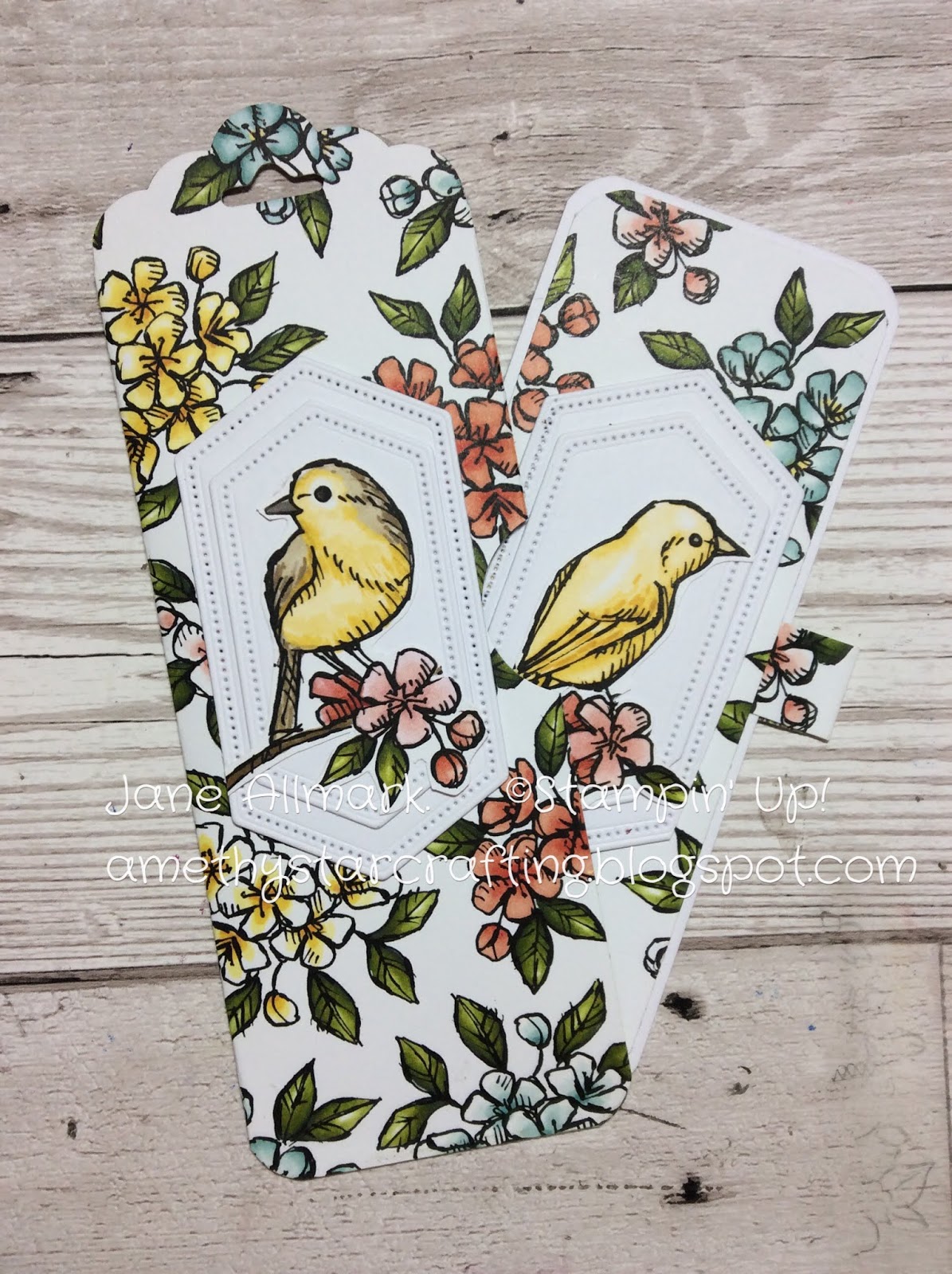 Crafting With Jane: Make a simple bookmark with hidden message tag ...