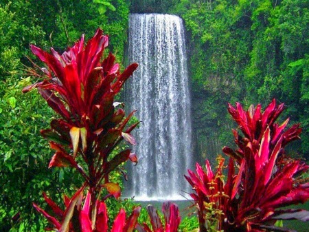 Beautiful Nature Images: Waterfall With Flowers | Beautiful Nature And ...