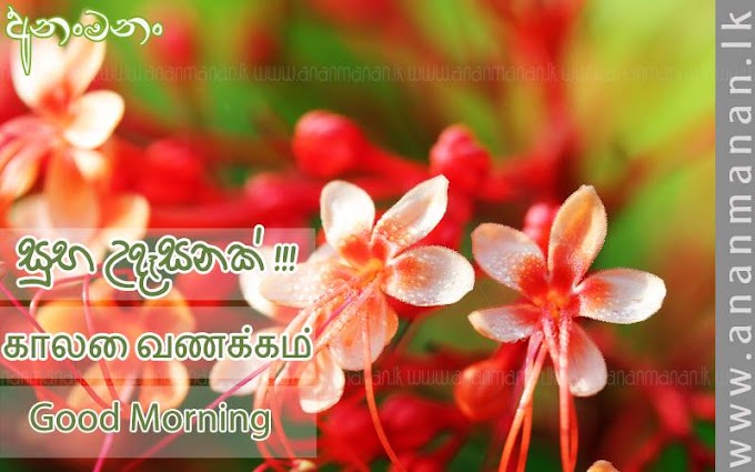 sinhala good morning sms | wishes | nisadas | photos | sinhala gm sms ...