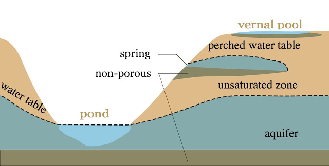 Looking for Vernal Pools