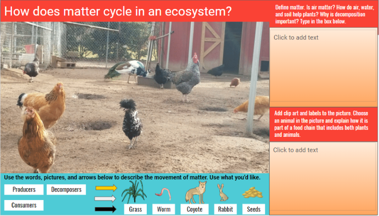 Food Chain Activity Digital Model | Polka Dots and Protons ...