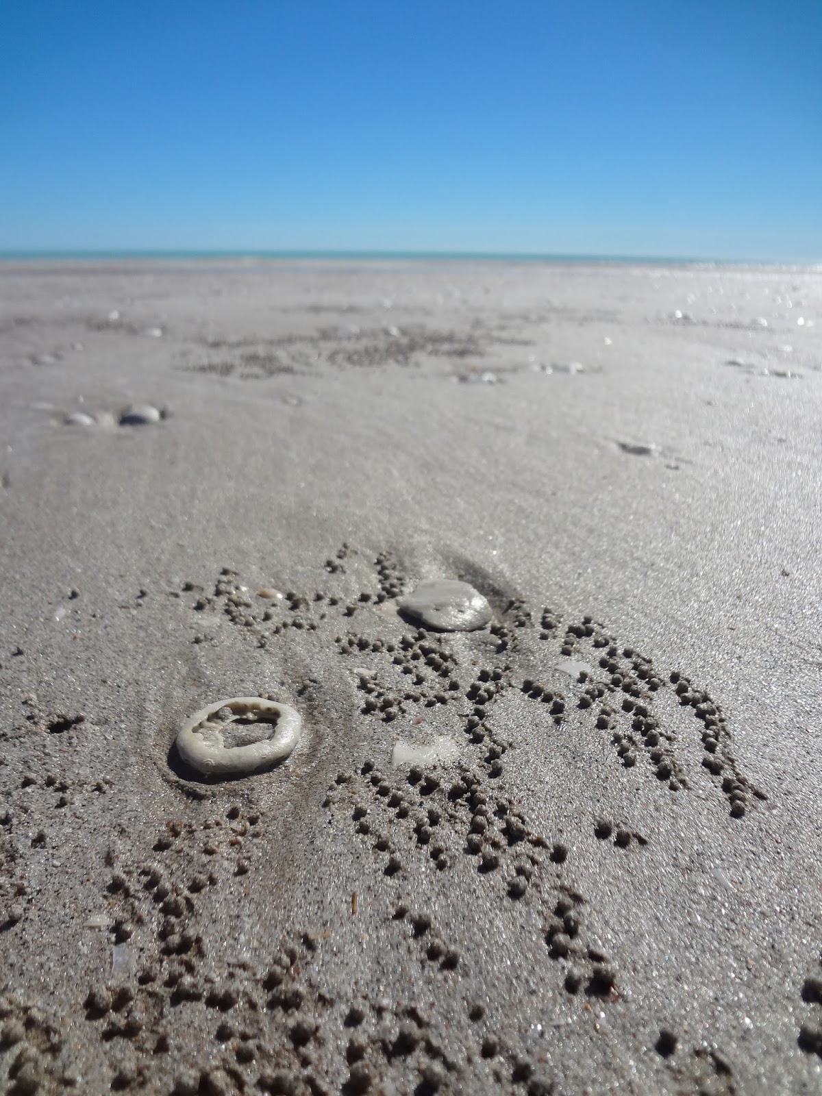 B around Australia: 80 Mile Beach {Caravan Park}
