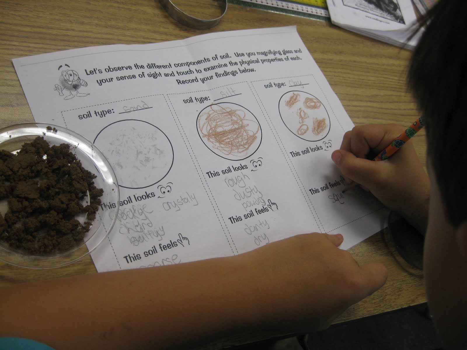Live and Learn: Types of Soil Investigation and Printable