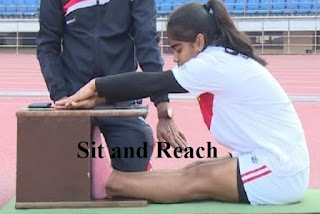 Sit and Reach Test Flexibility