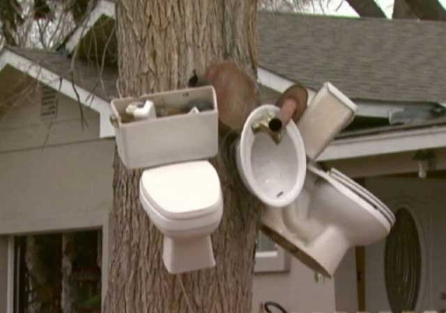 Nothing To Do With Arbroath: Toilets in tree violate County's rubbish ...