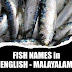 Fishes of Kerala - Local names of Marine fishes , River fish ...