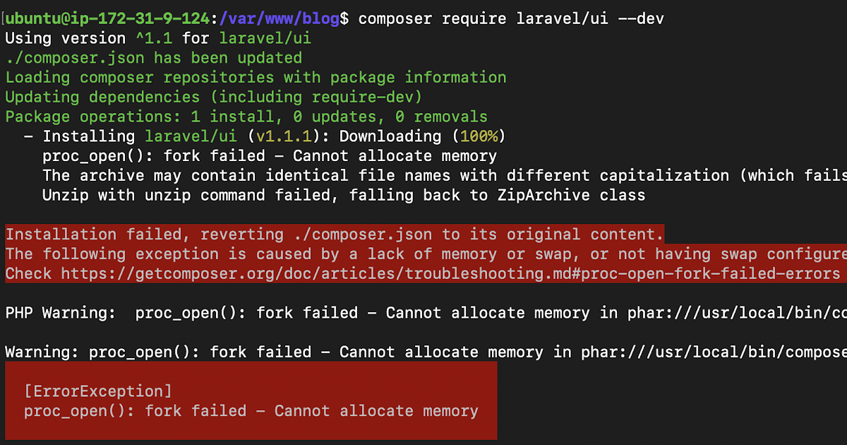 Procopen Fork Failed Can Not Allocate Memory Error On Aws Ec2