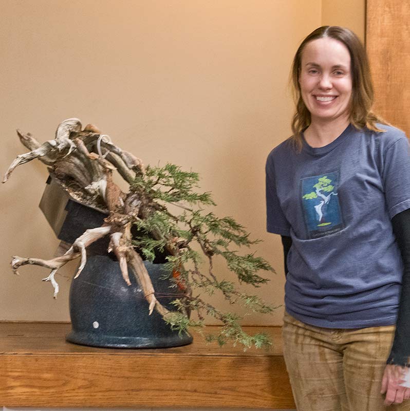 Walter Pall Bonsai Adventures: Jennifer Price and her new masterpeice